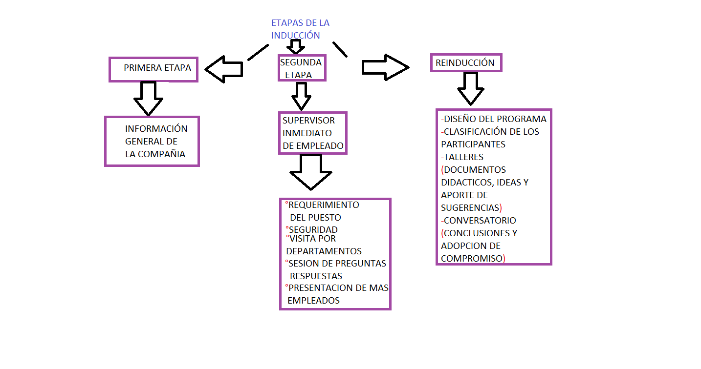 Inducción laboral :: Humanagement S.A.S.